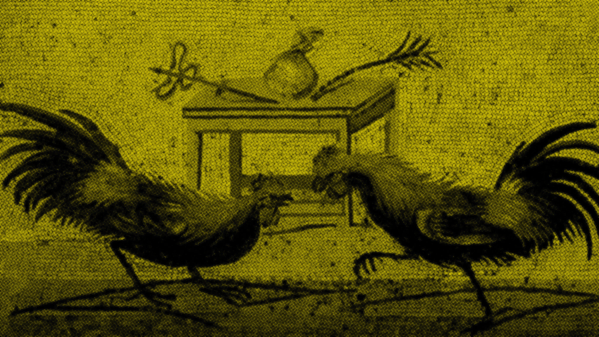 “Rome Is Falling” – Run AMOC* Festival at Lincoln Center – AMOC*